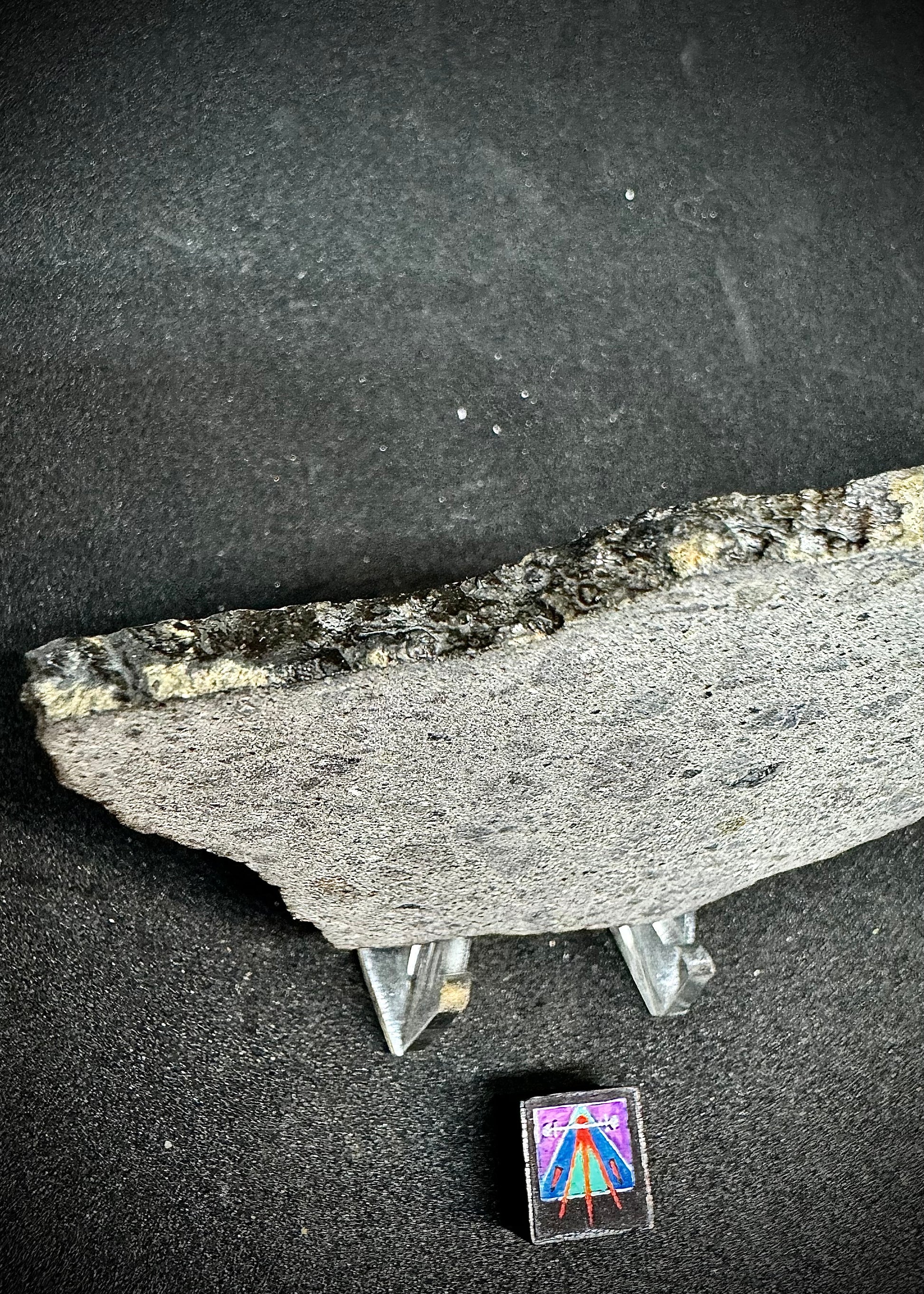 NWA 2690 - A Howardite/Eucrite Mix! 31.9g, Full Slice – The ...