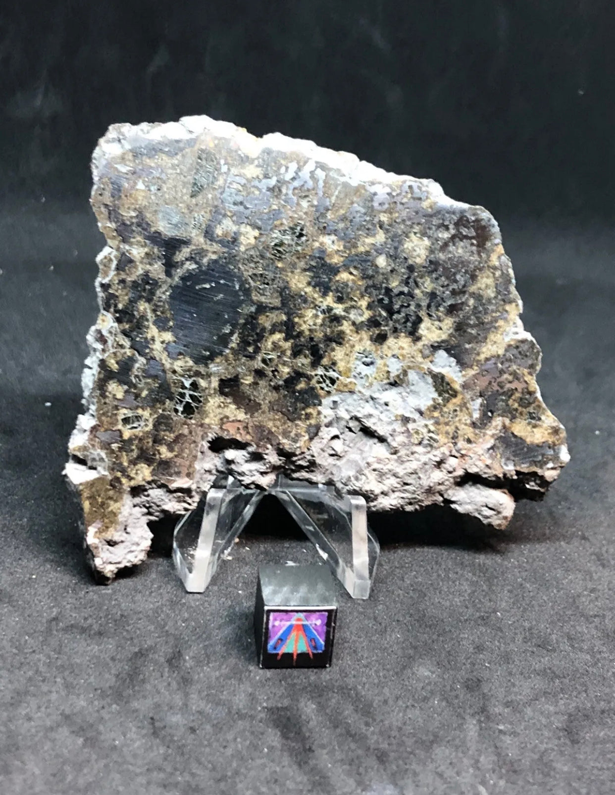 Genuine Stony-Iron Meteorites - Guaranteed Authentic - The Interstellar ...
