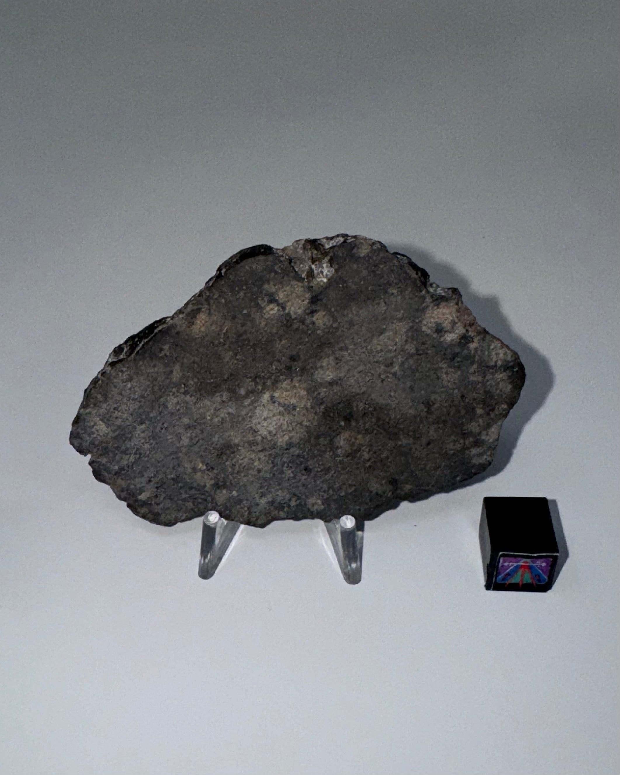 NWA 15923 Eucrite Meteorite - 20.2g (Parent Body: Asteroid) – The ...