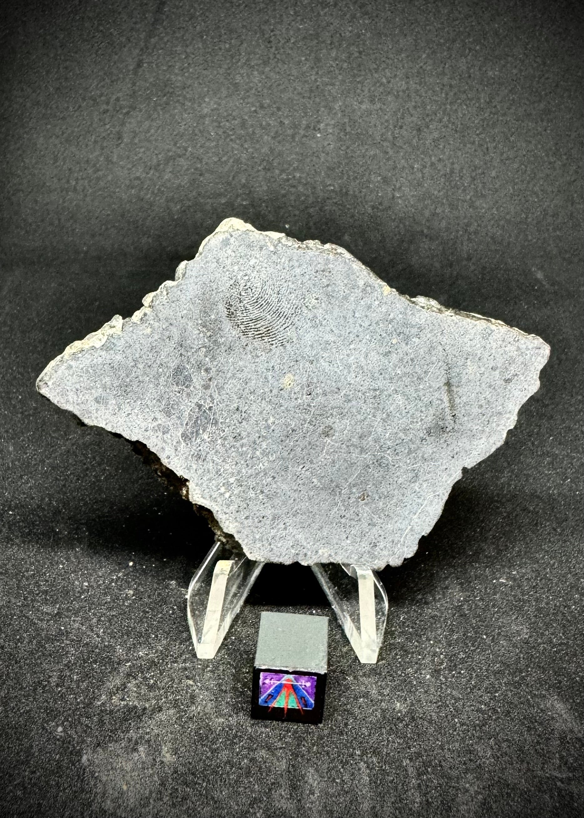 NWA 2690 - A Howardite/Eucrite Mix! 31.9g, Full Slice – The ...