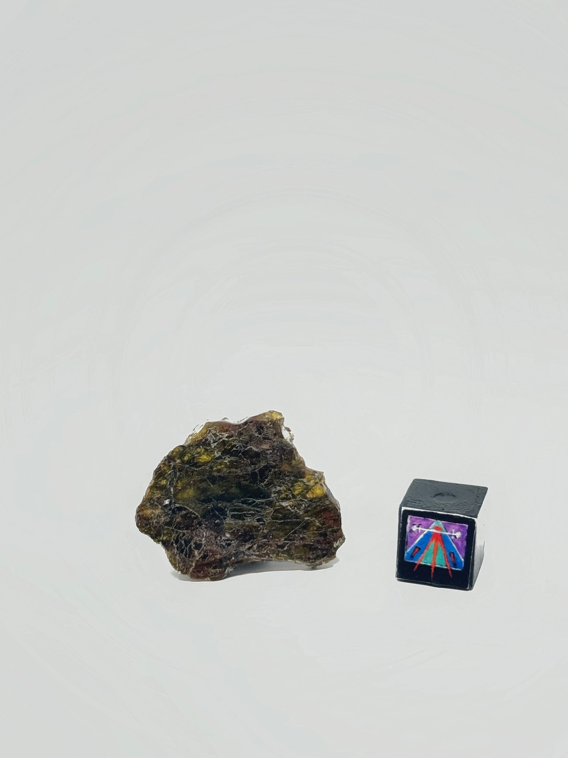 NWA 7831 Translucent Diogenite Meteorite - 2.0g - Parent Body: Asteroi ...