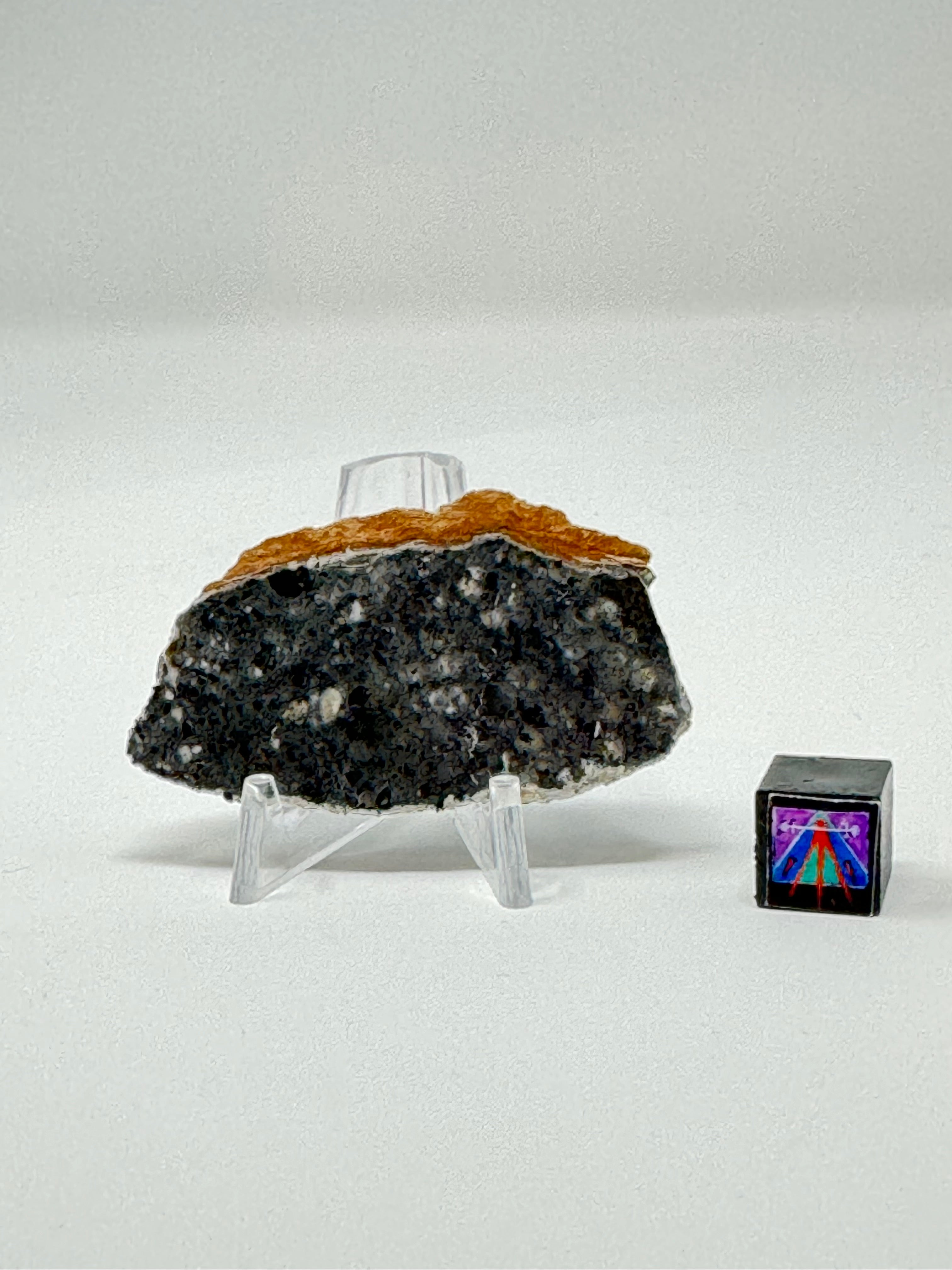 Bechar 003 Lunar Feldspathic Breccia - 5.4g - Full Slice/Polished on O ...