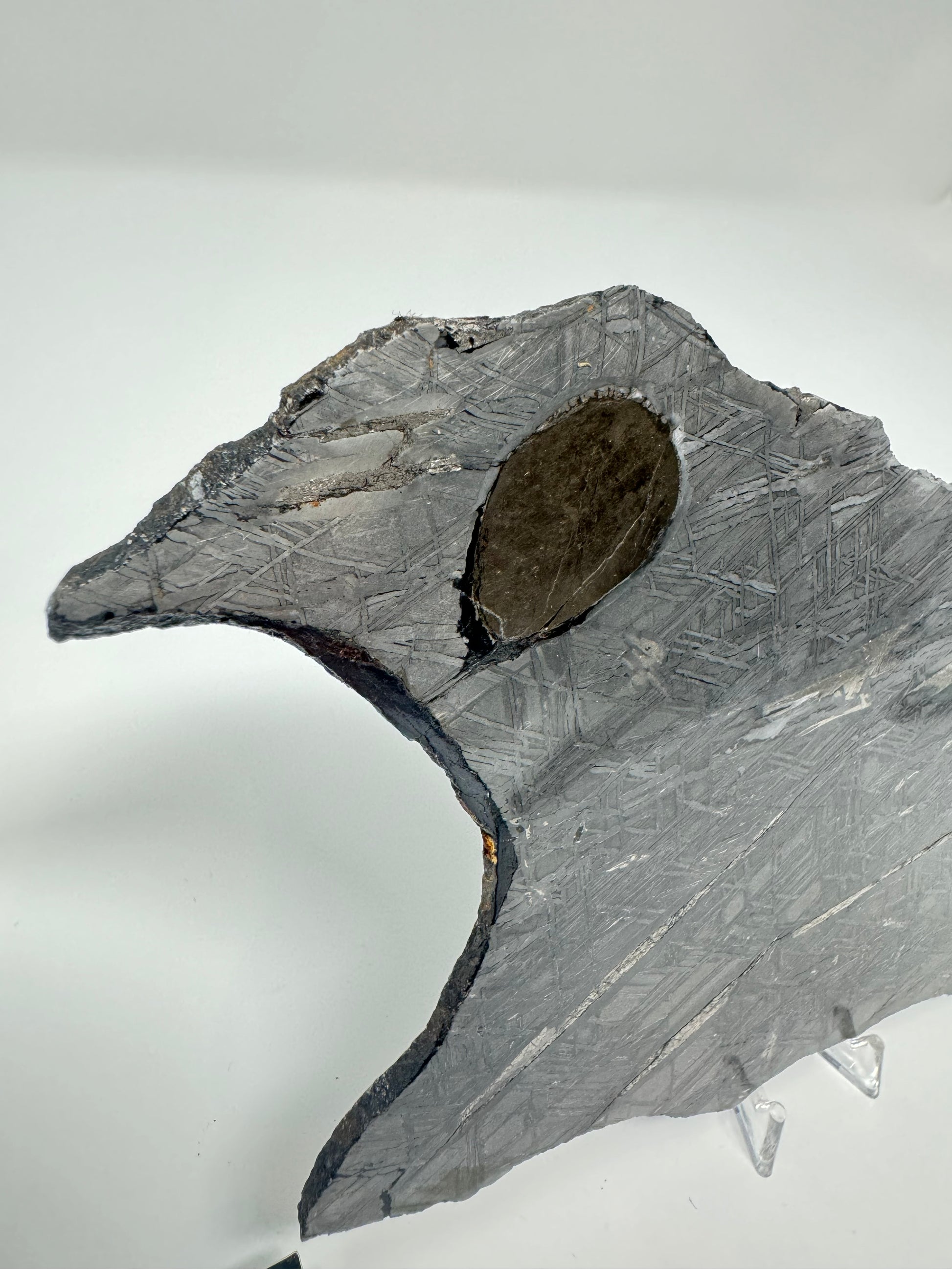 “The Monster” Iron Meteorite (Under Classification) - 268.3g Full Slic ...