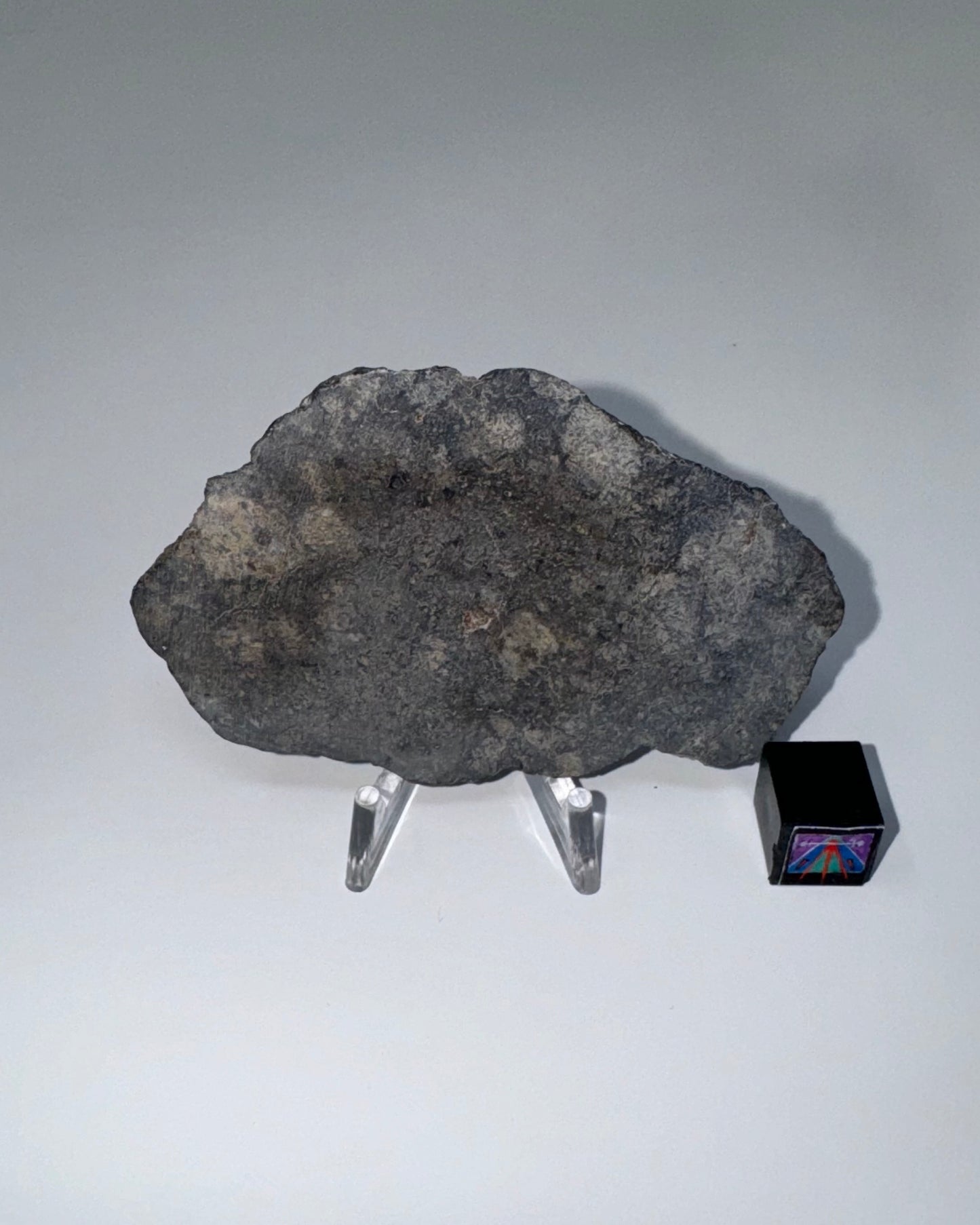 NWA 15923 Eucrite Meteorite - 20.2g (Parent Body: Asteroid) – The ...