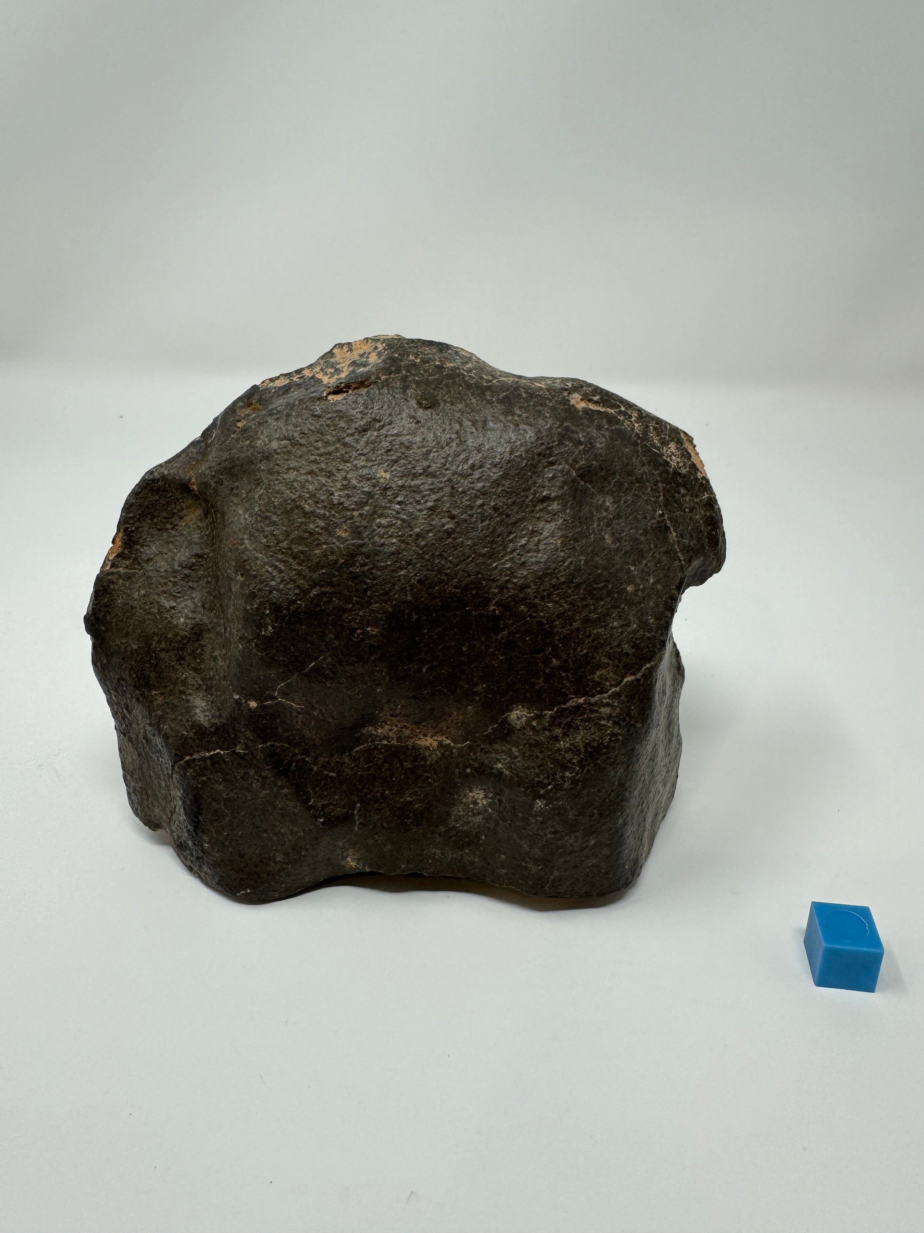 1,459g Chondrite Meteorite - Full Stone – The Interstellar Collection