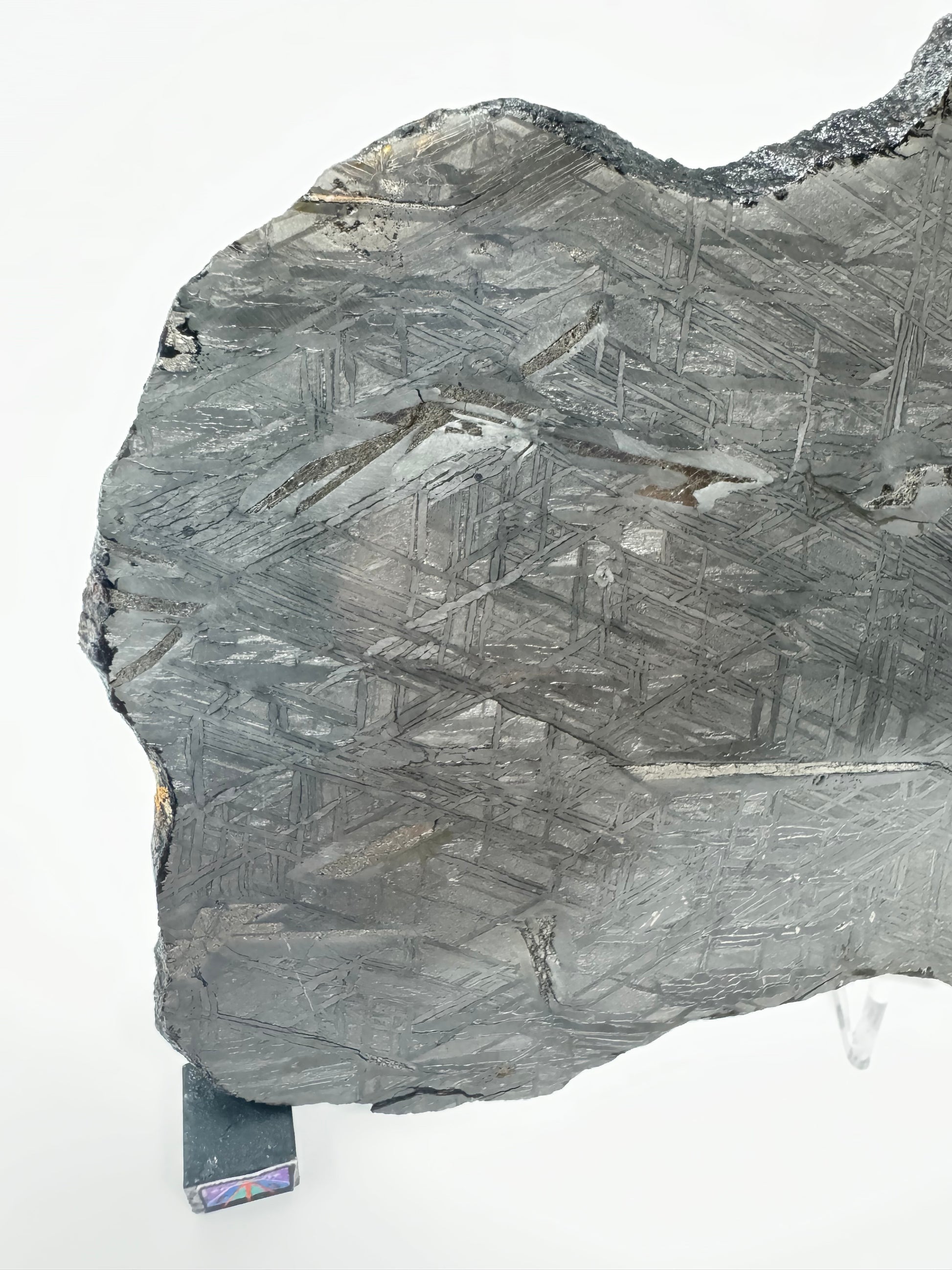 “The Monster” Iron Meteorite (Under Classification) - 268.3g Full Slic ...