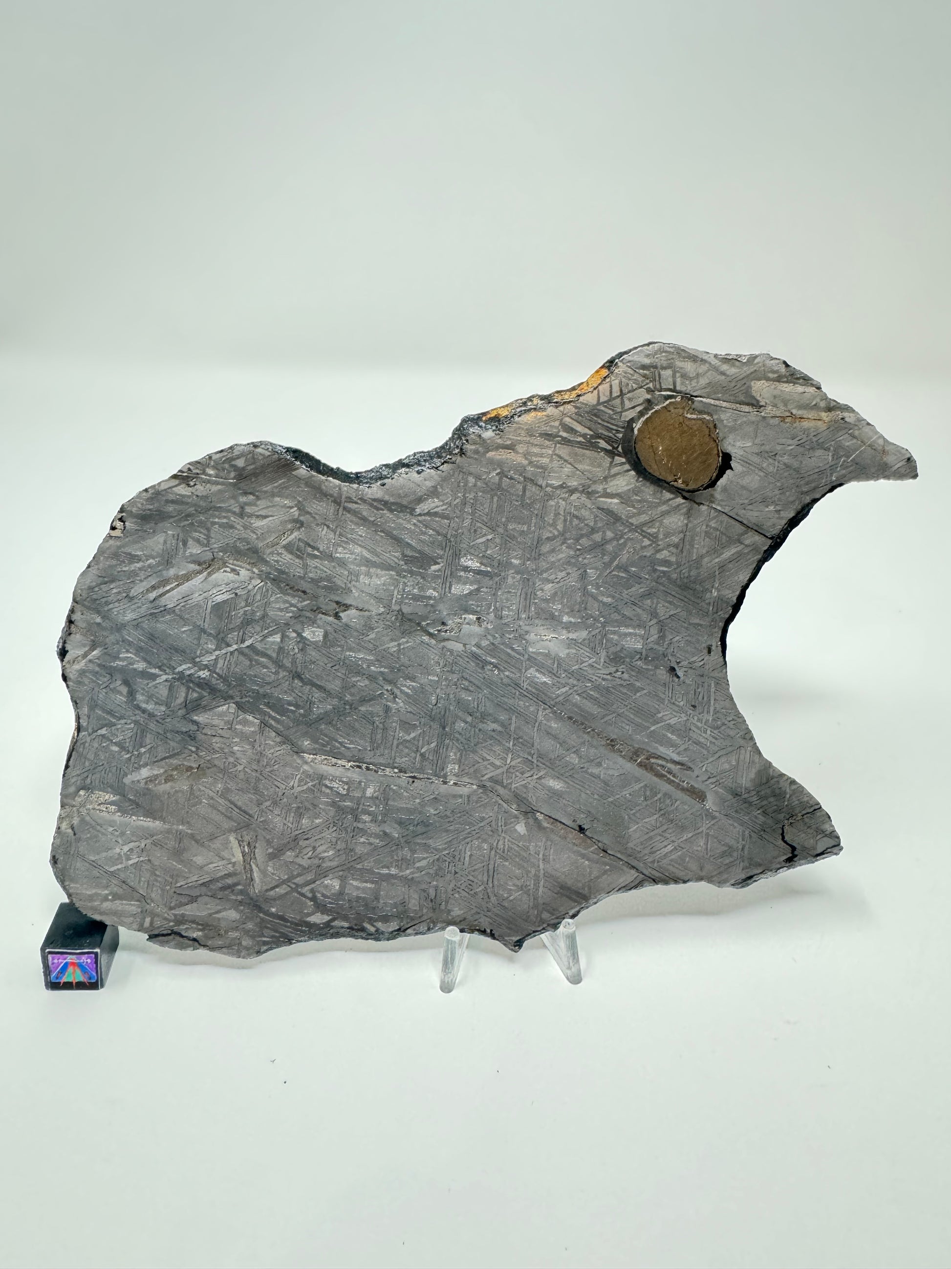 “The Monster” Iron Meteorite (Under Classification) - 268.3g Full Slic ...