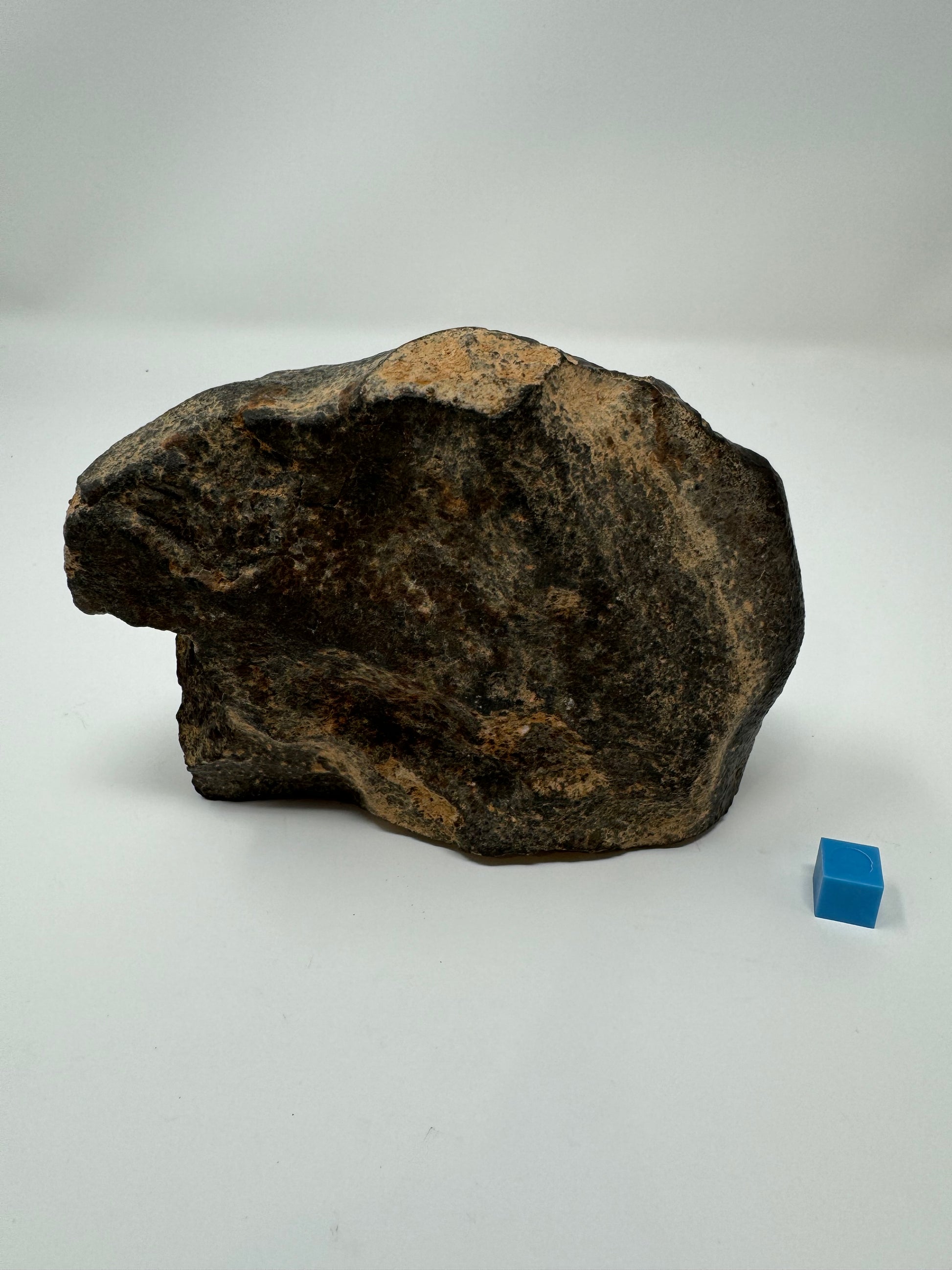 1,459g Chondrite Meteorite - Full Stone – The Interstellar Collection