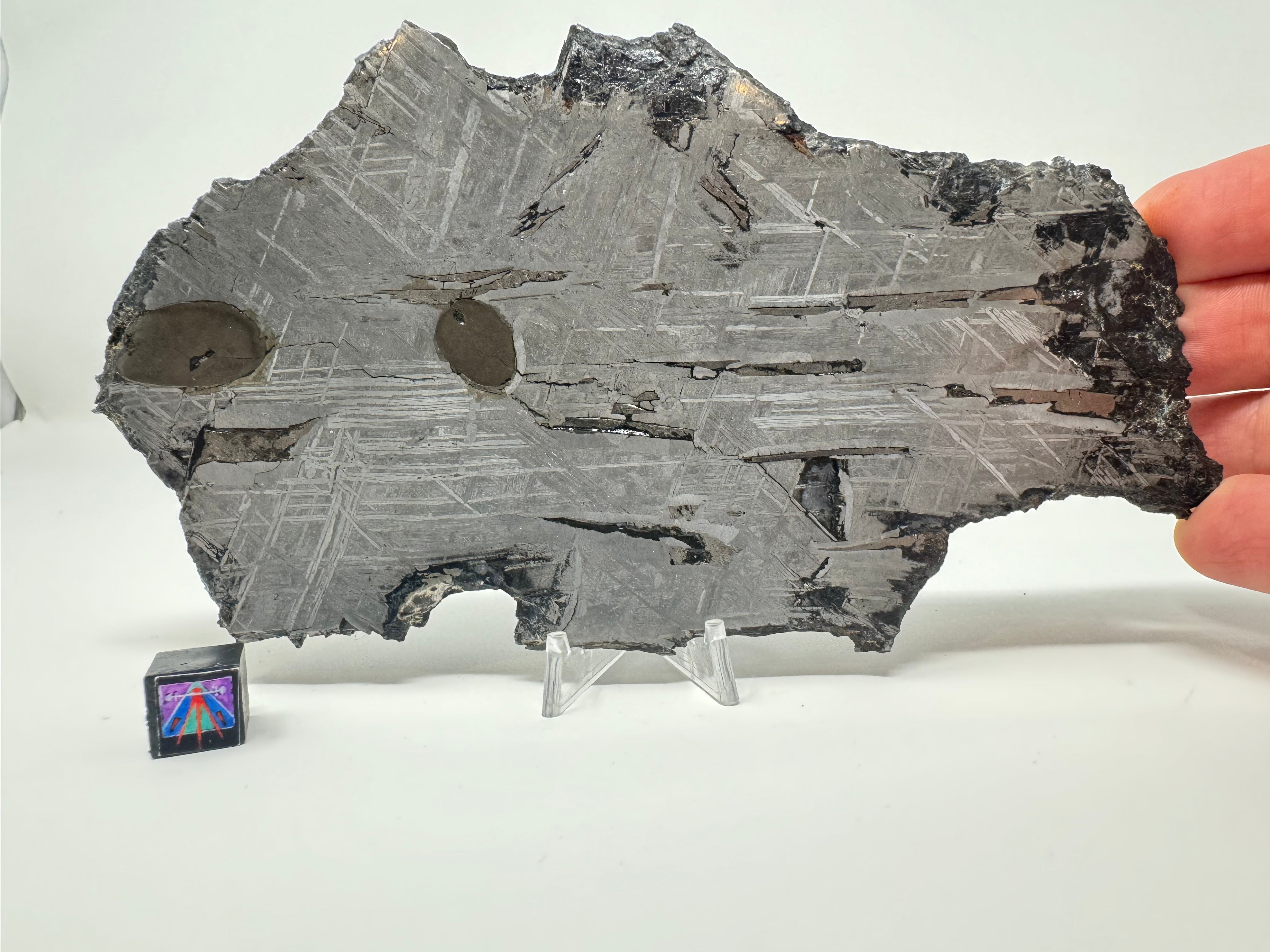 Aletai Meteorite - 278.9g - Full Slice w/ Troilite Inclusion! – The ...