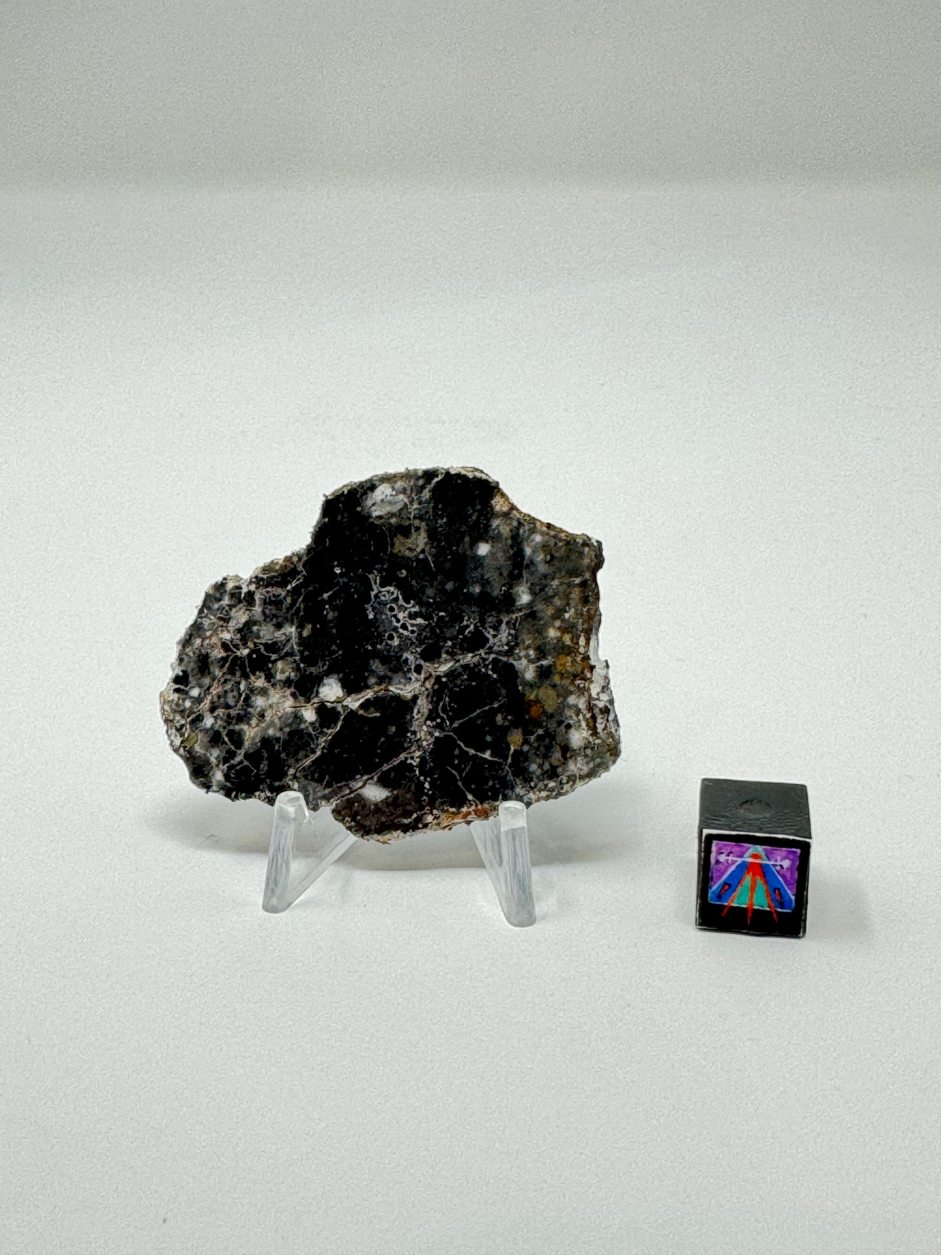 Bechar 003 Lunar Feldspathic Breccia - 7.2g - Full Slice/Polished on O ...