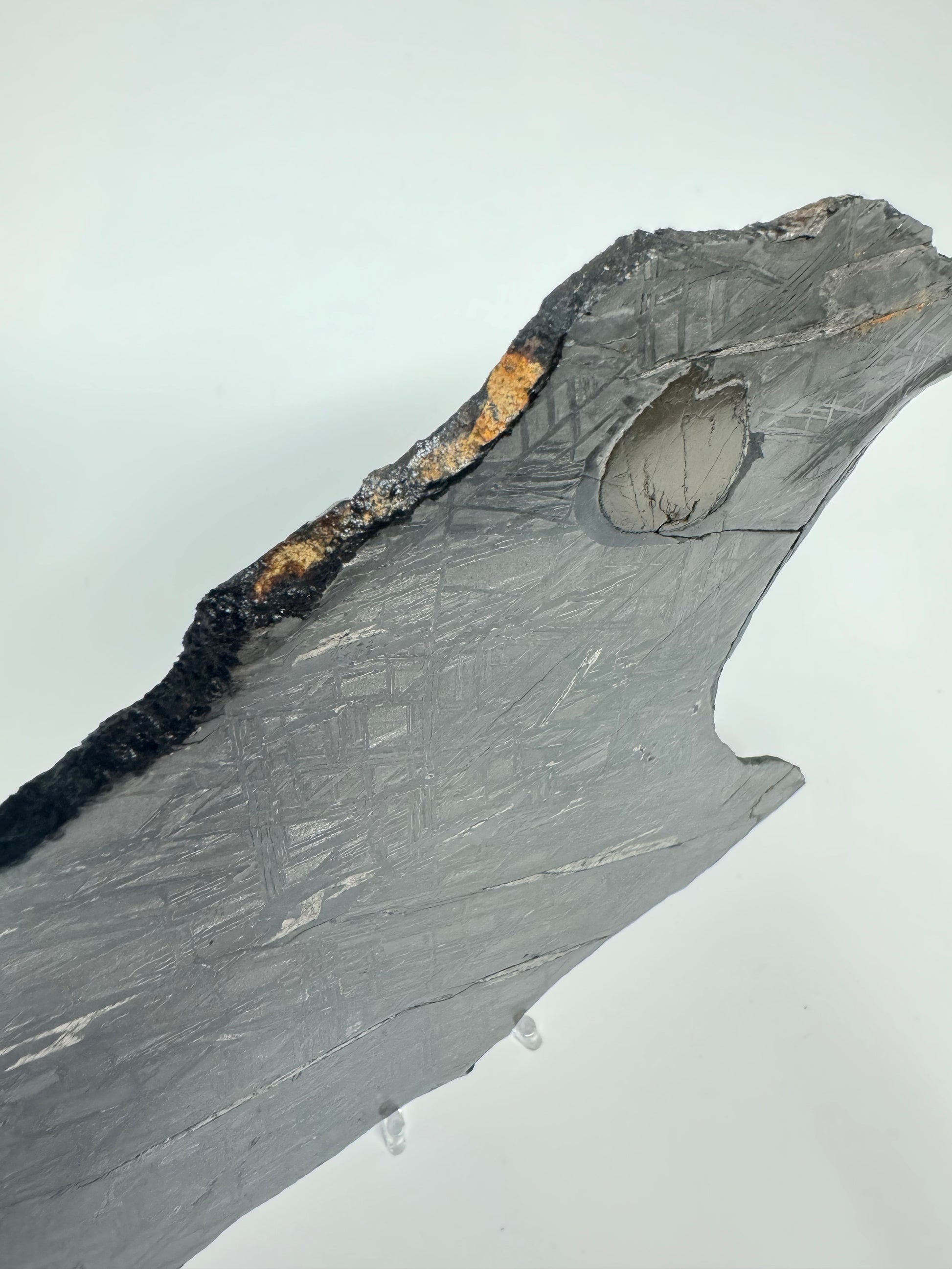 “The Monster” Iron Meteorite (Under Classification) - 268.3g Full Slic ...