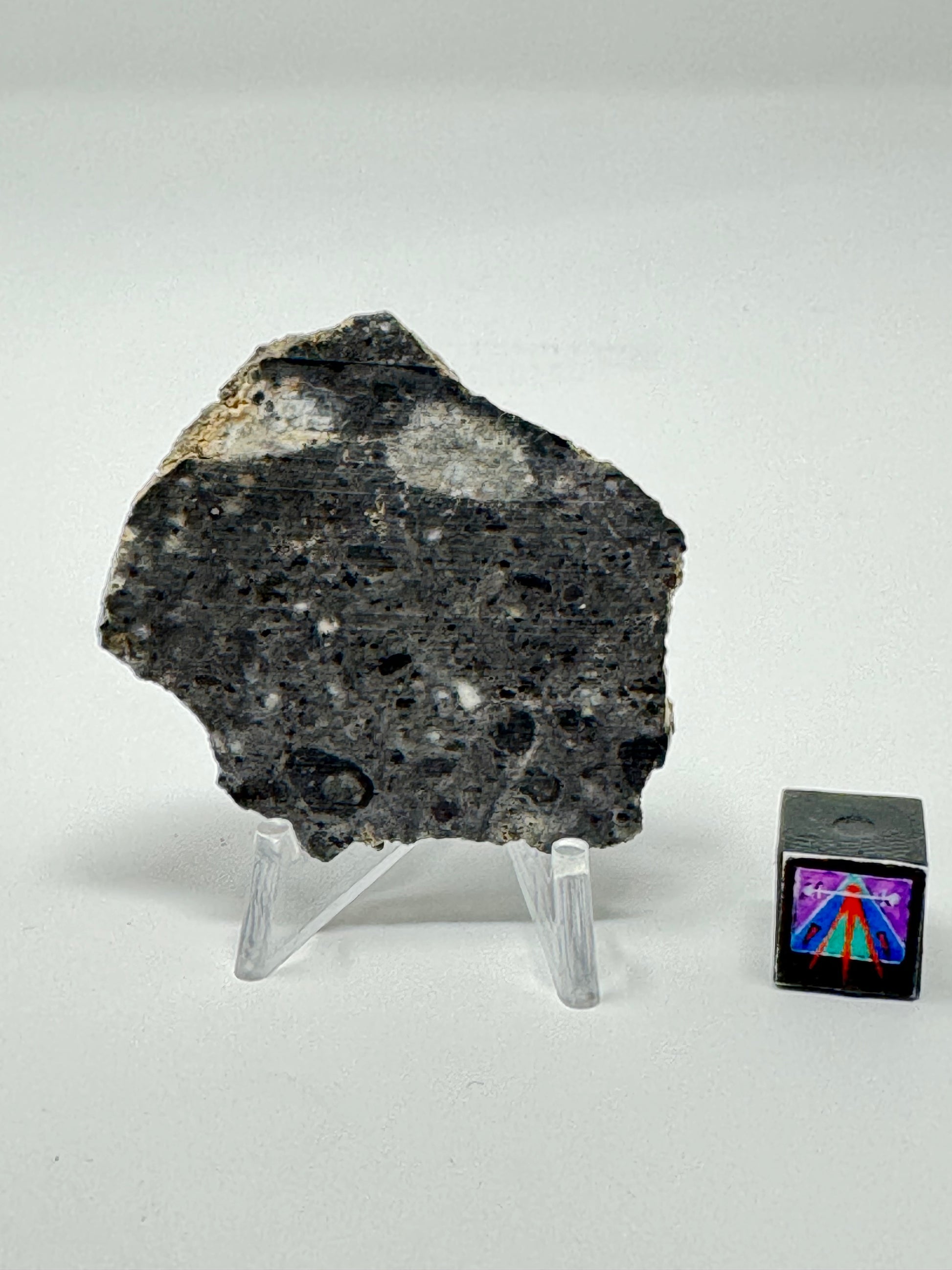 Bechar 003 Lunar Feldspathic Breccia - 8.3g - Full Slice/Polished on O ...