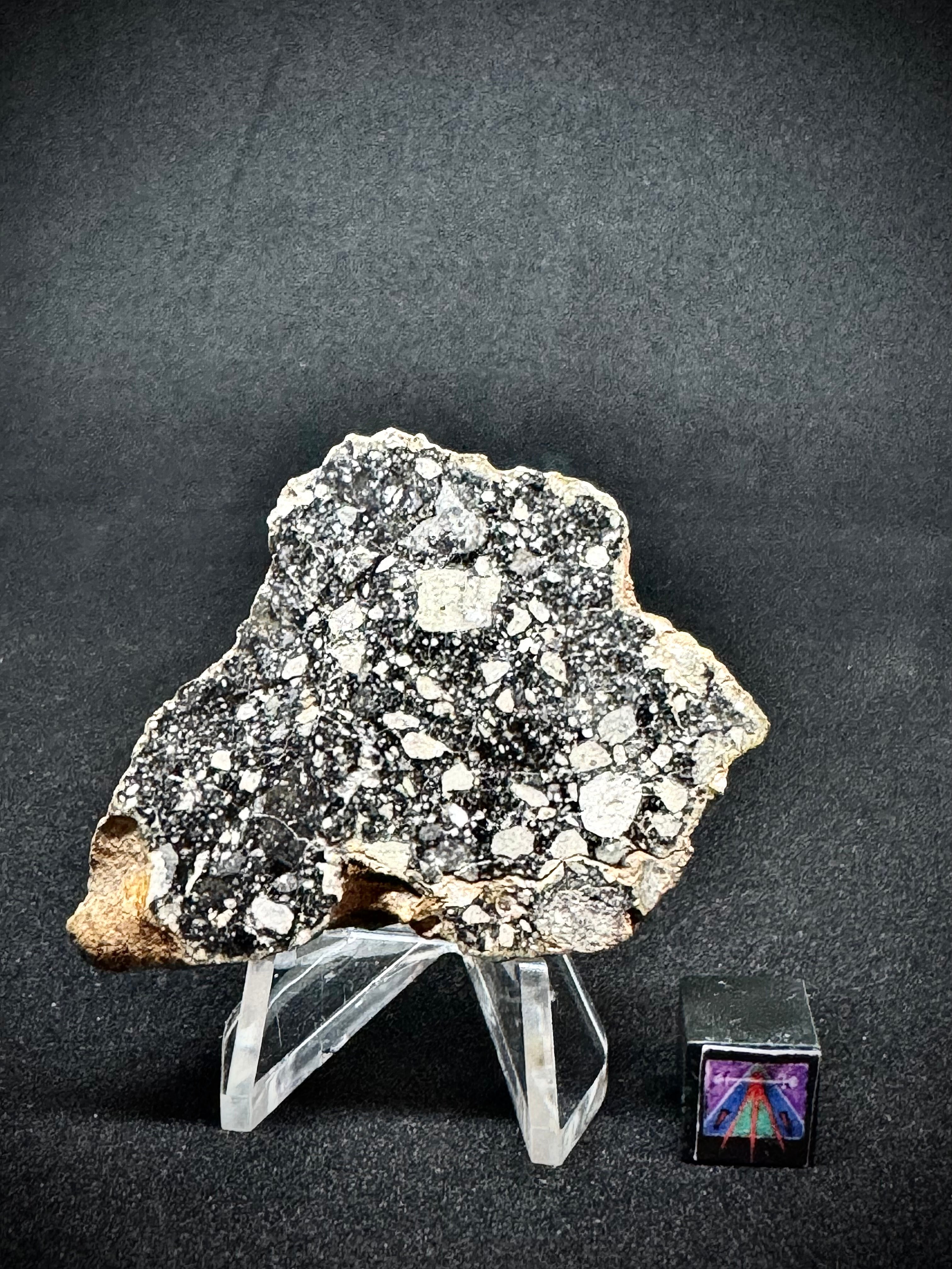 NWA 14685 Lunar Fragmental Breccia End Cut - Polished - 24.7g – The ...