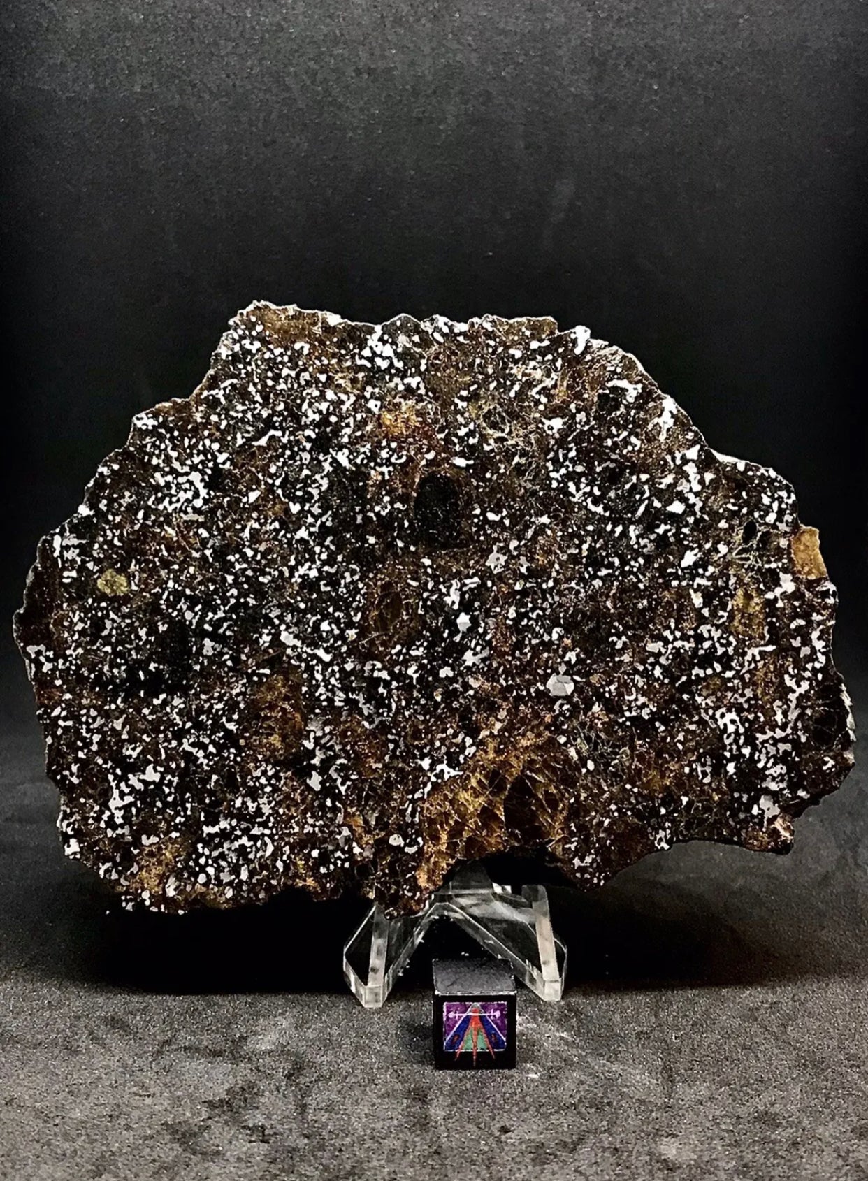 363g NWA 14518 Mesosiderite End Cut Meteorite - Huge Pyroxene Crystals ...
