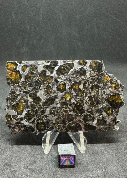 Genuine Stony-Iron Meteorites - Guaranteed Authentic - The Interstellar ...