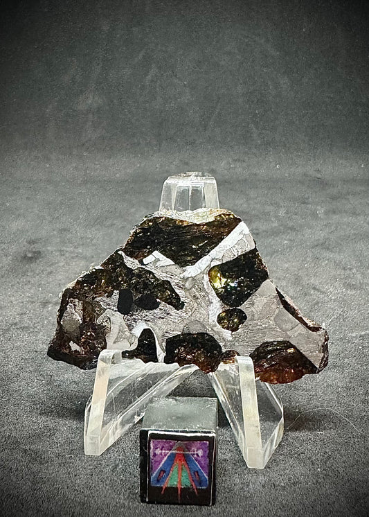 Genuine Stony-Iron Meteorites - Guaranteed Authentic - The Interstellar ...