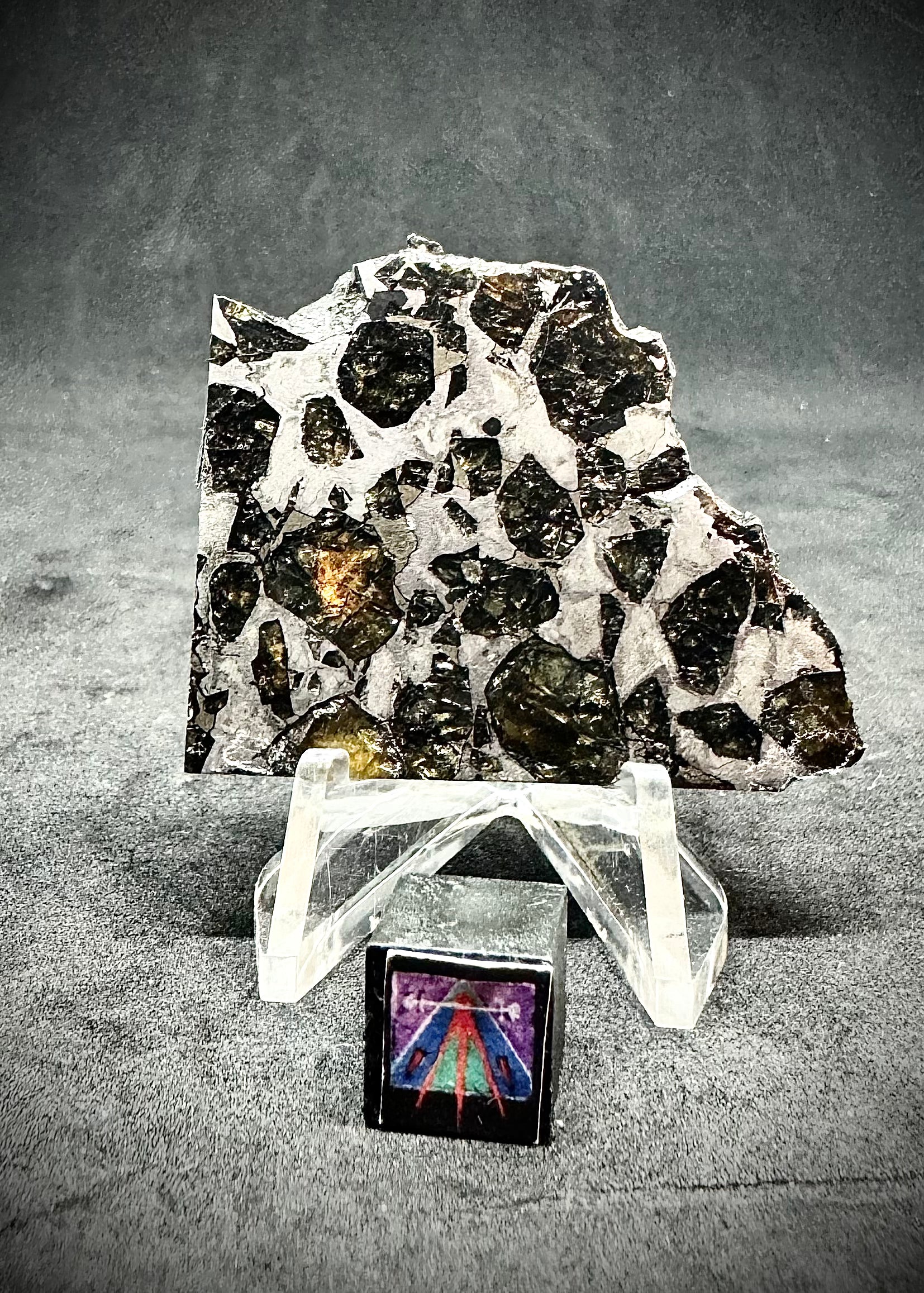 The Interstellar Collection - 19.1 g Brahin Pallasite Meteorite - $342