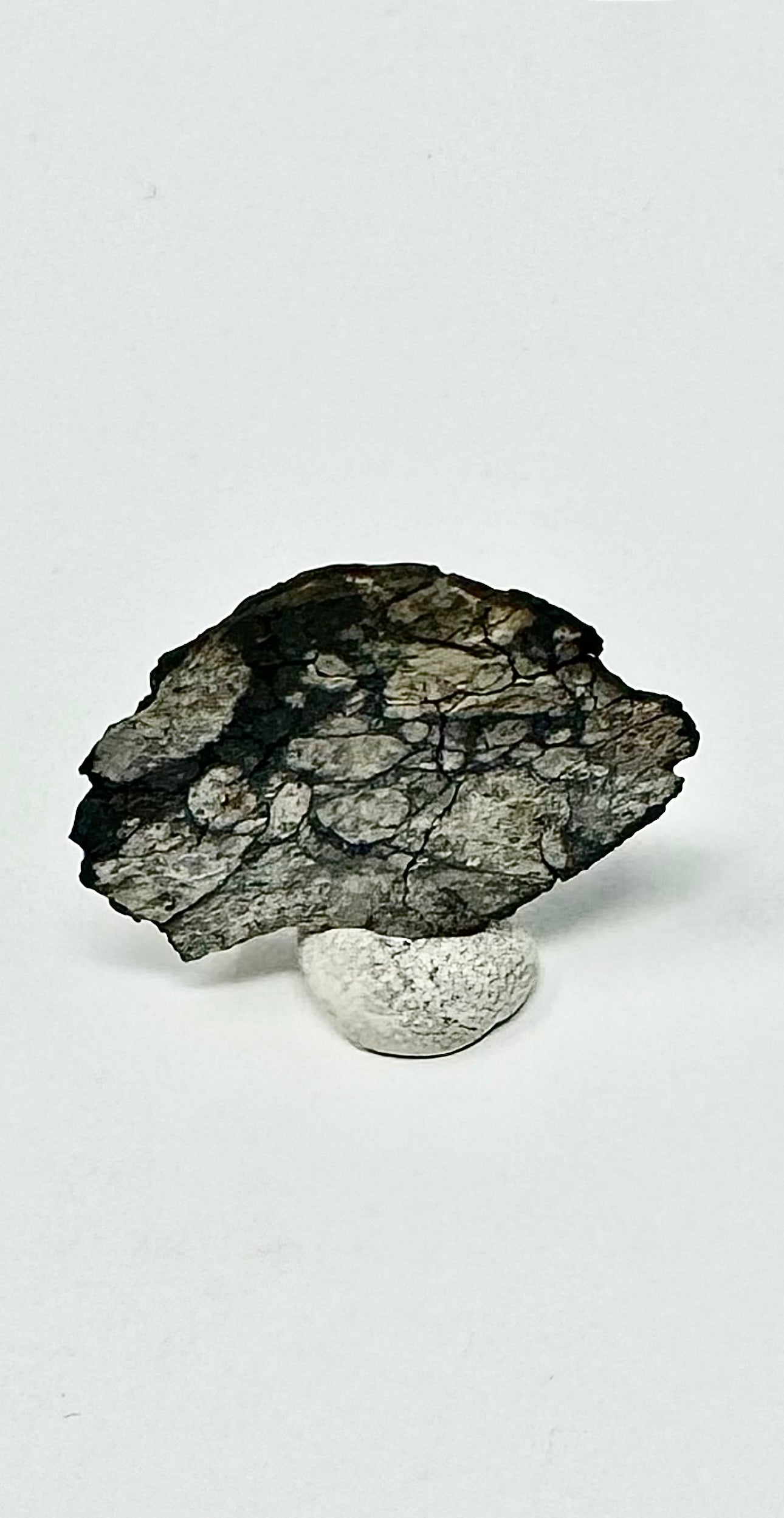Genuine Stony Meteorites - Scientifically Classified - The Interstellar ...