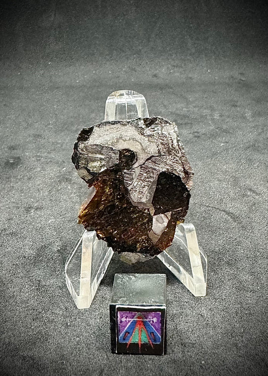 Genuine Stony-Iron Meteorites - Guaranteed Authentic - The Interstellar ...