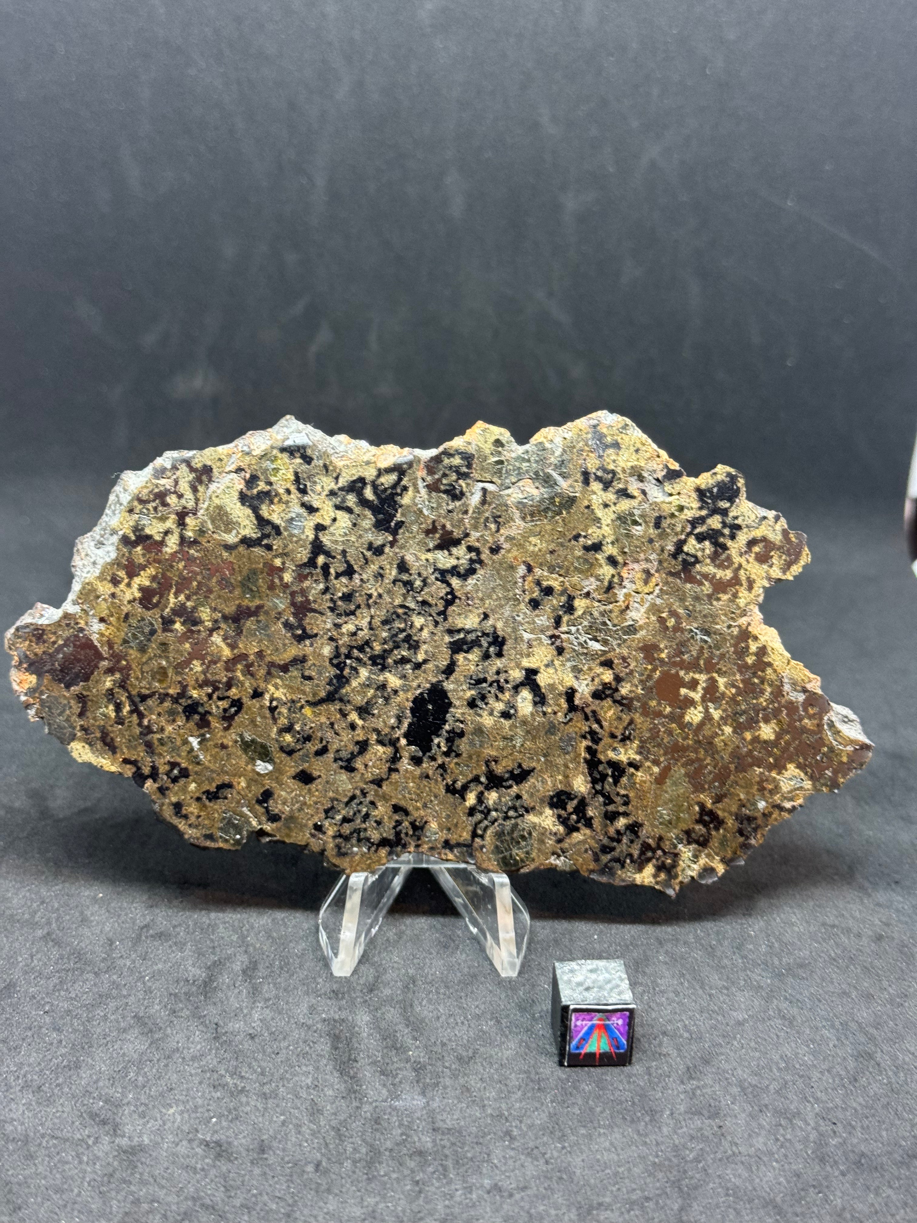 The Interstellar Collection - 74.3 g El Milhas Meteorite - Estherville ...