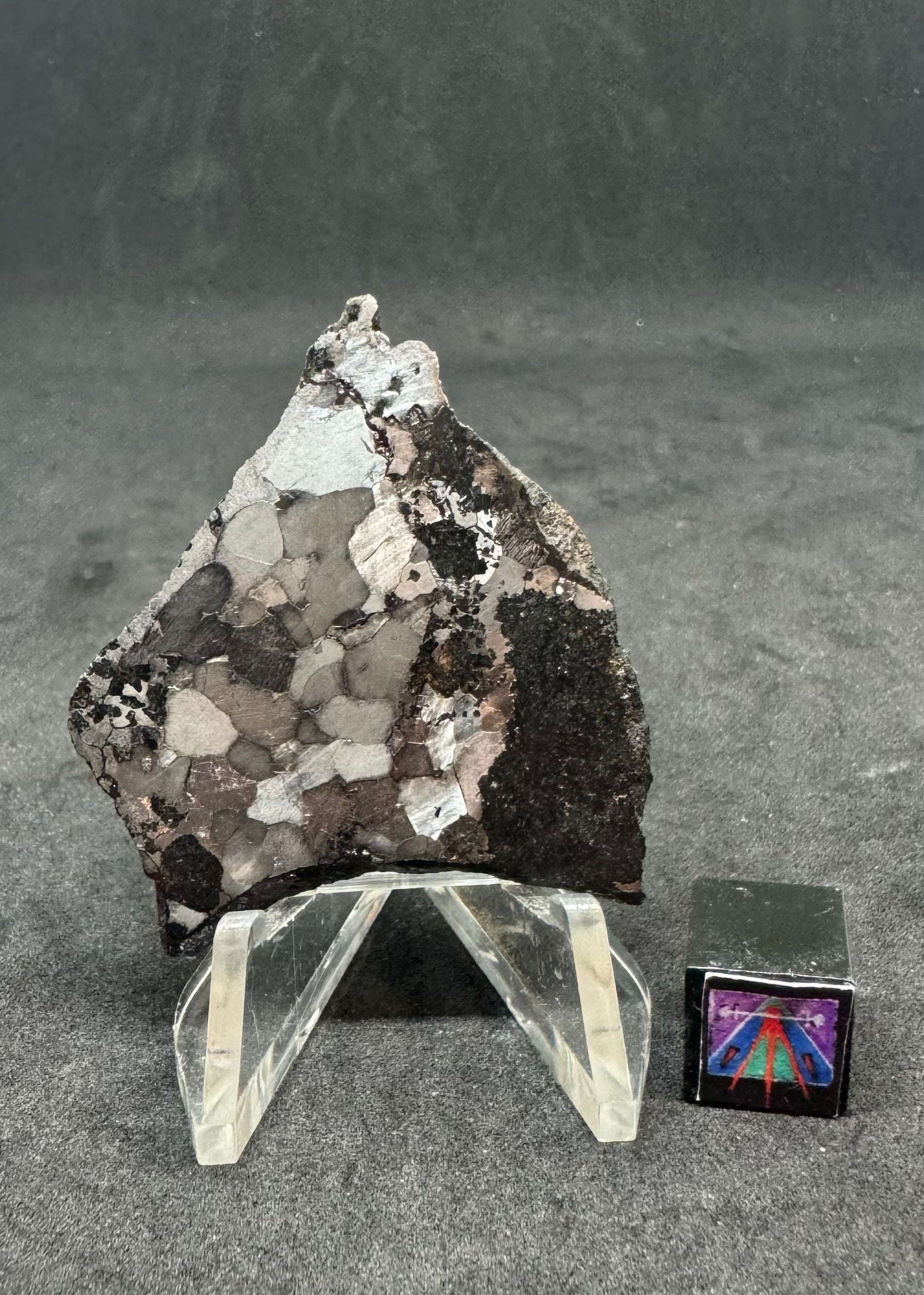 NWA 5549 Silicated Iron Meteorite – The Interstellar Collection