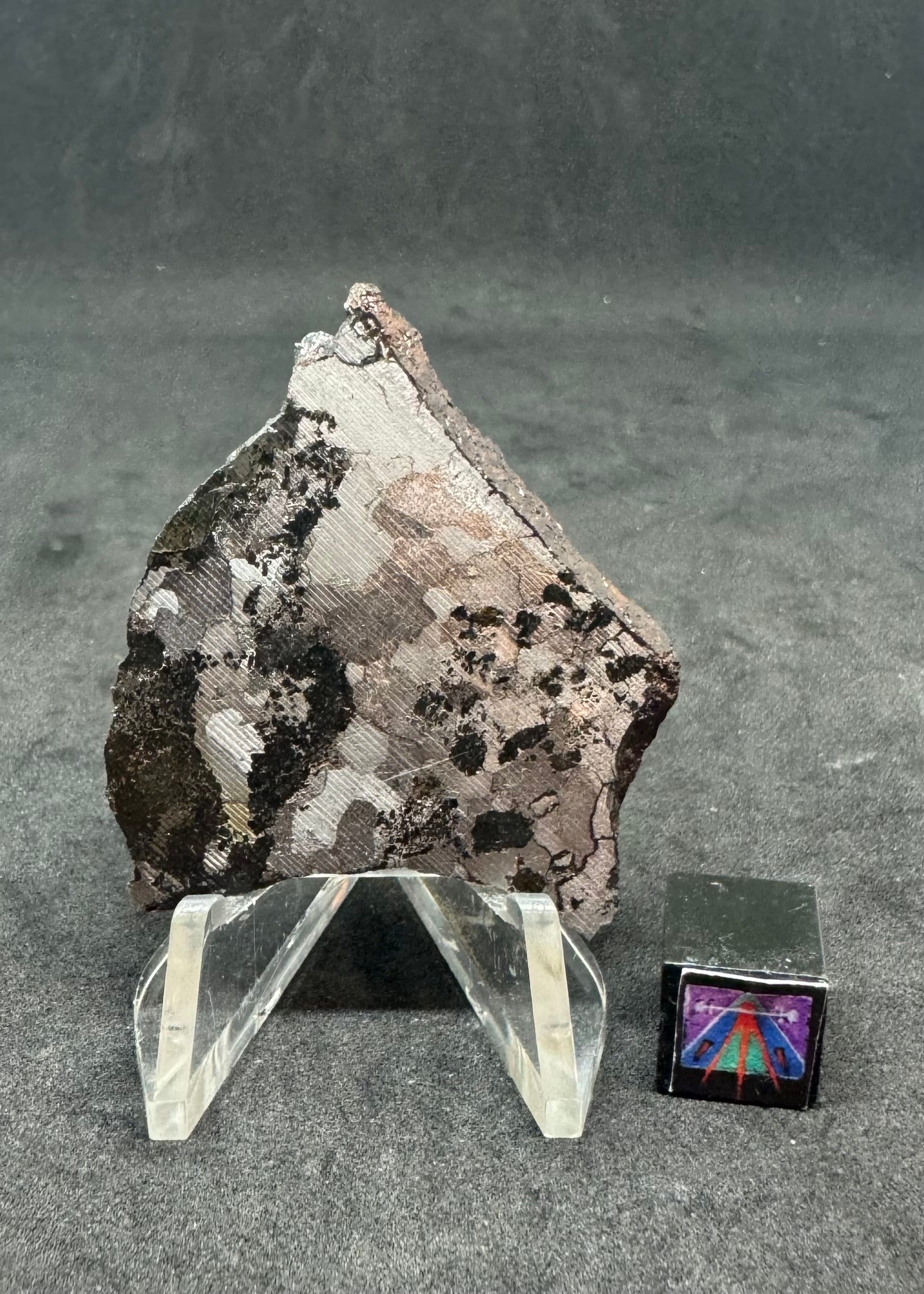 NWA 5549 Silicated Iron Meteorite – The Interstellar Collection