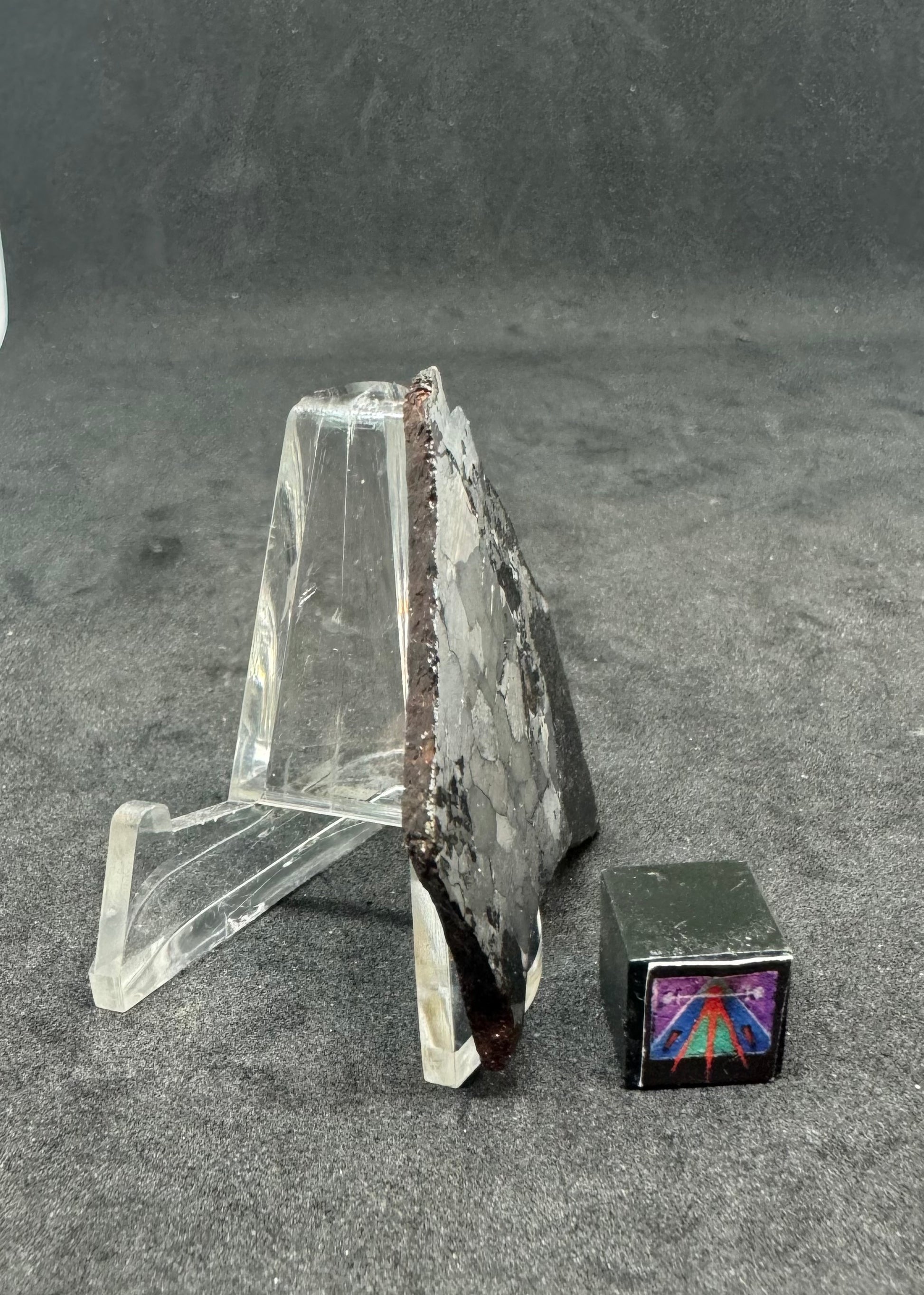 NWA 5549 Silicated Iron Meteorite – The Interstellar Collection