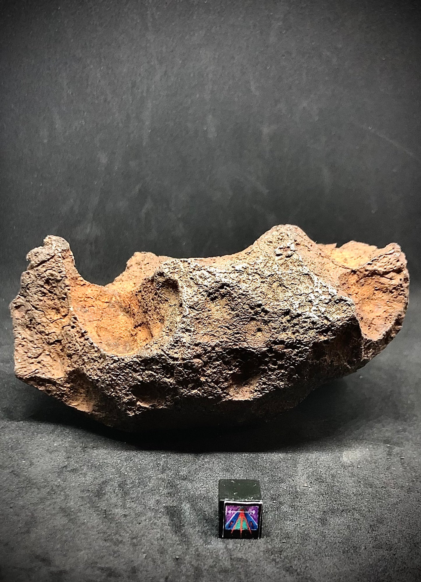 The Famous Canyon Diablo Meteorite - Recovered by Metal Detectorist on ...